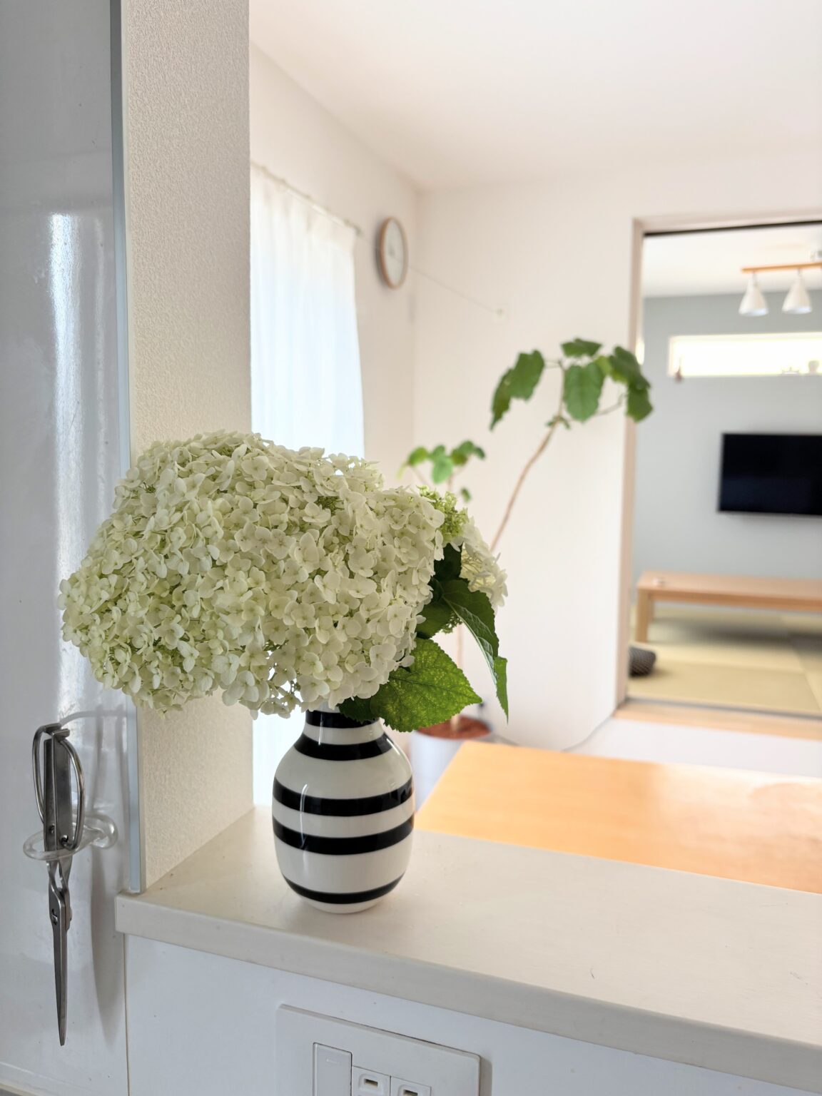 【庭がスッキリ】女性一人で組み立てOK！Alebert収納ボックスが優秀すぎた | Rinのシンプルライフ